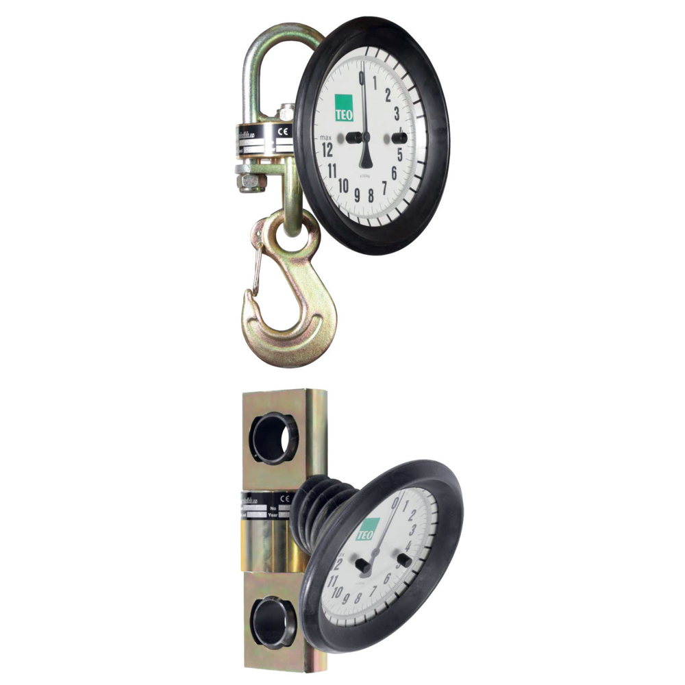 TEO Mechanical crane scale | REMA