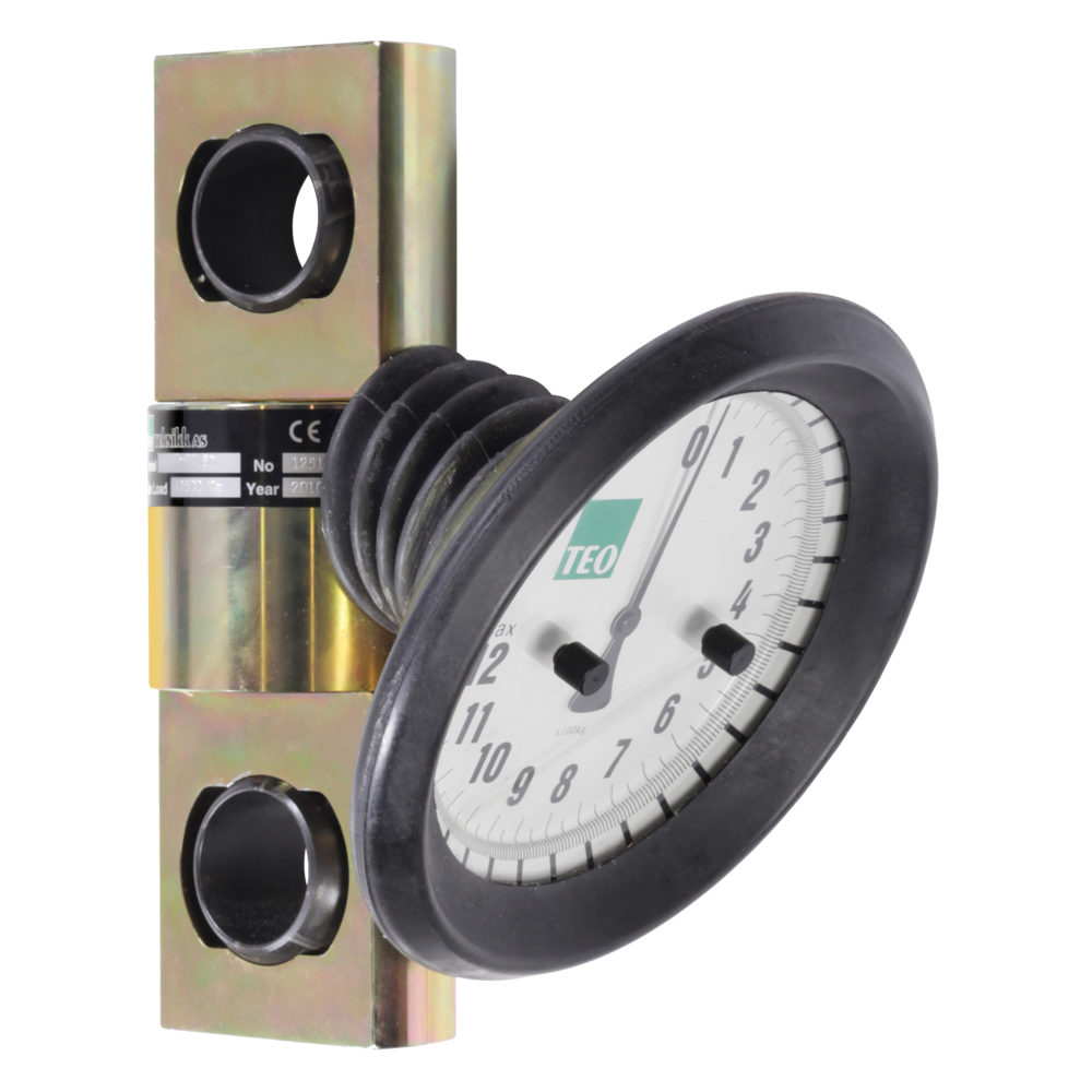 TEO Mechanical crane scale | REMA