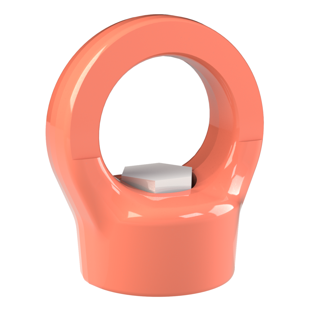 C810FX Grade 10 Lifting Points - Safe & Versatile | REMA